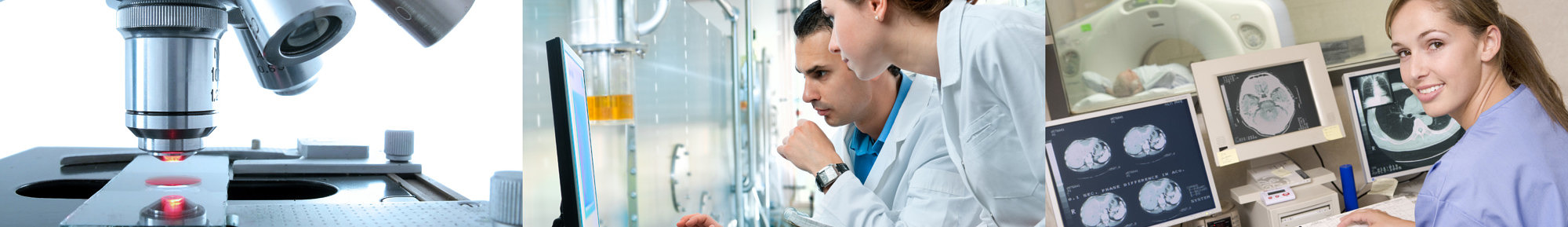 Life Science Engineering | Bachelor- und Masterstudiengang